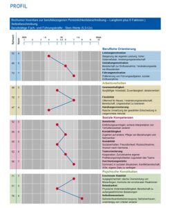 Bochumer Inventar zur berufsbezogenen Persönlichkeitsbeschreibung