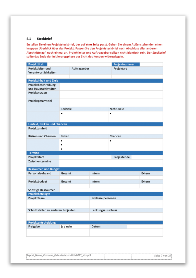 IPMA Level D Report Beispiel PDF + Vorlage zum Download